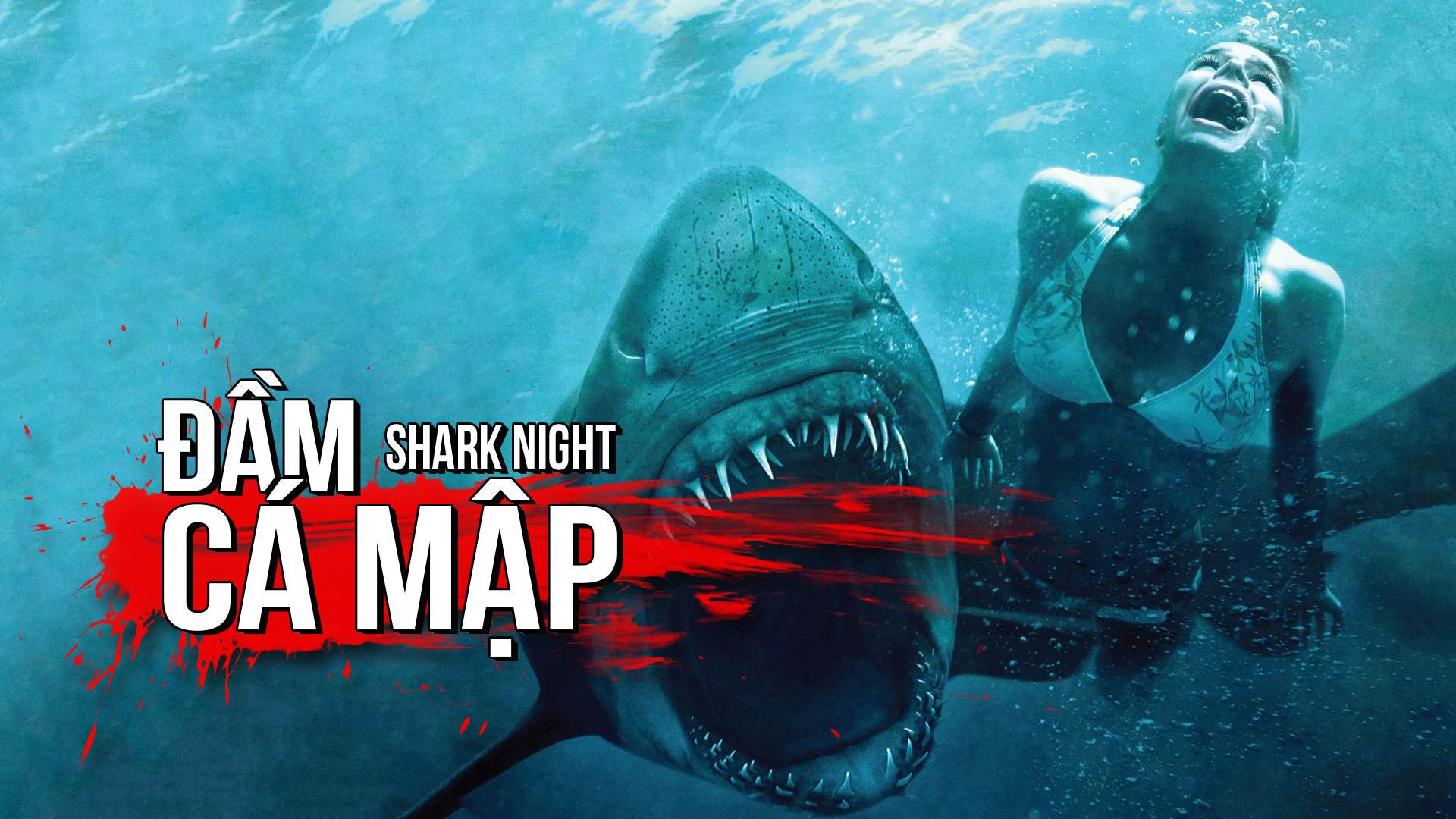 Cách chọn và cách xem coi phim cá mập để tránh sợ hãi